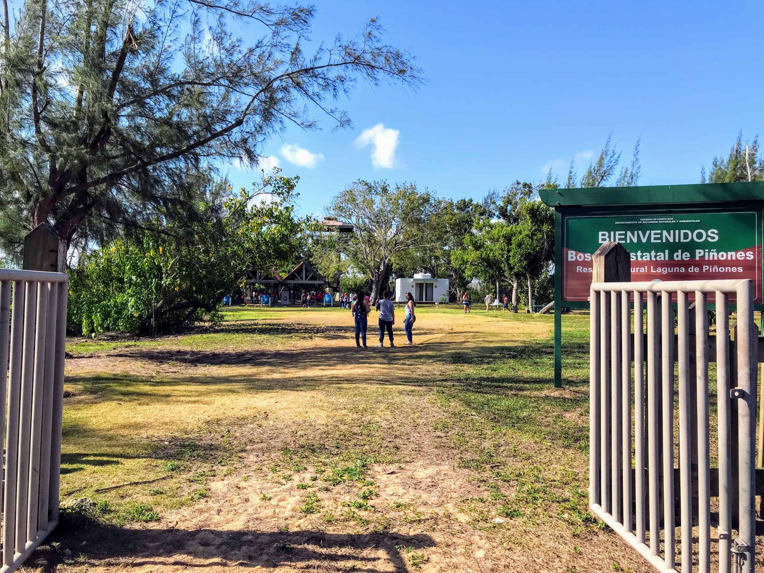 Bosque Estatal de Piñones - Estuario