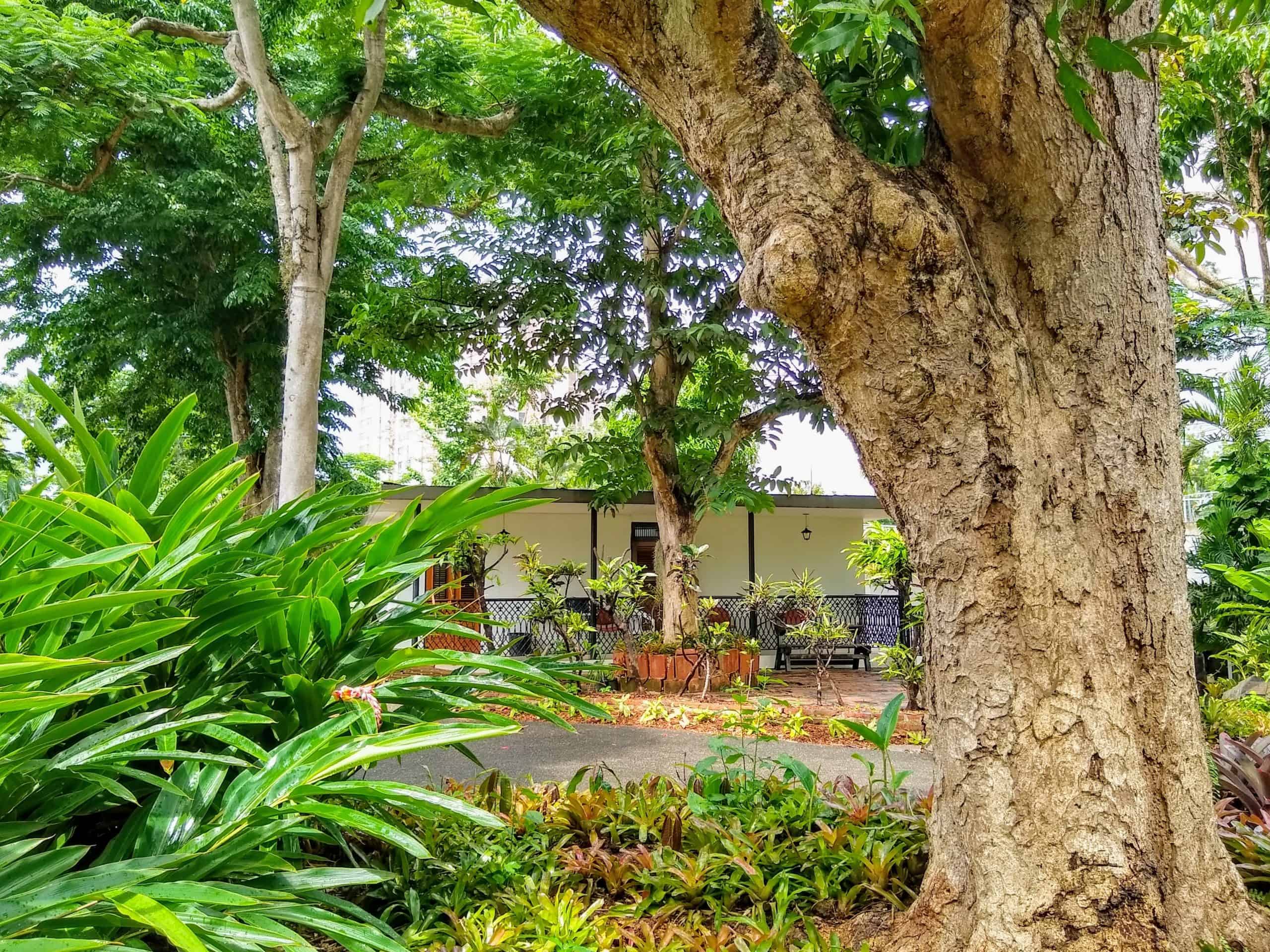 Arboreto Parque Doña Inés - Estuario de la Bahía de San Juan