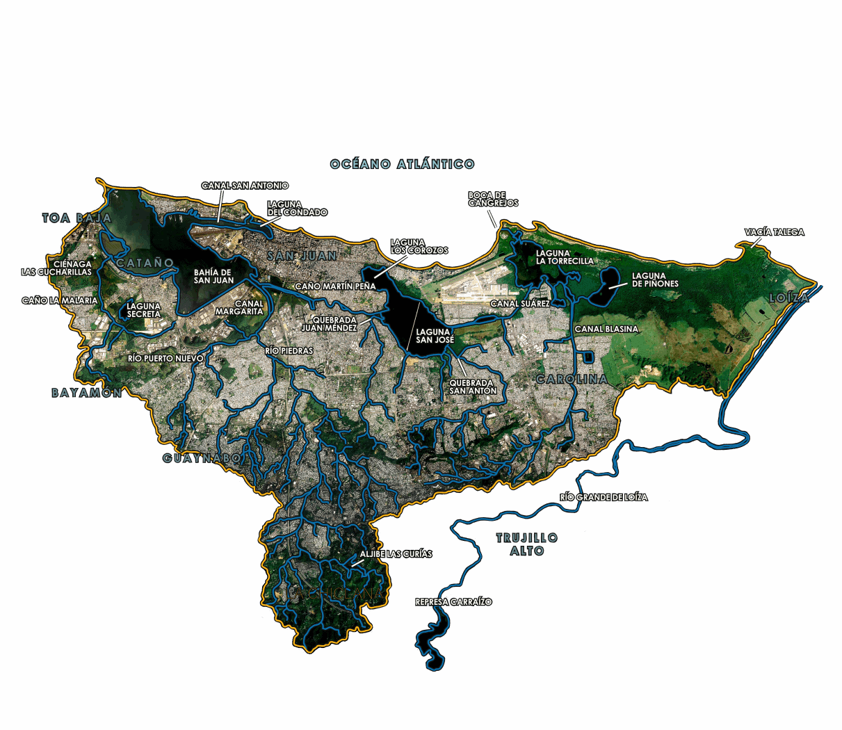 Acción comunitaria: Cupey Bajo se integra a los esfuerzos del Estuario ...