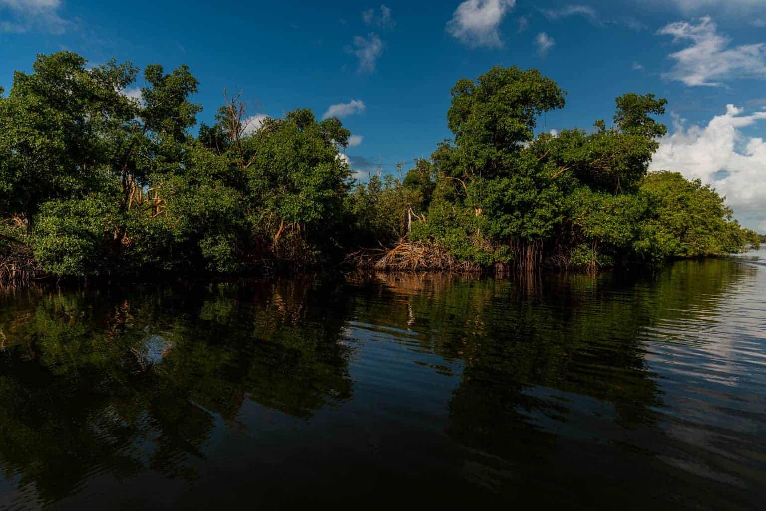 Inicio - Estuario de la Bahía de San Juan