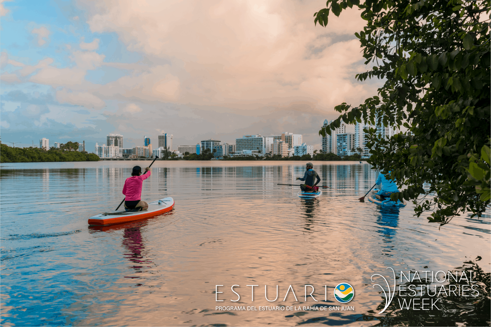 Celebra la Semana Nacional de los Estuarios 2021 - Estuario de la Bahía ...
