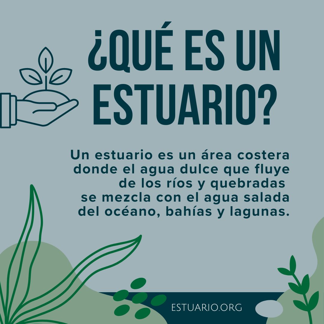 Descubre lo nuevo - Estuario