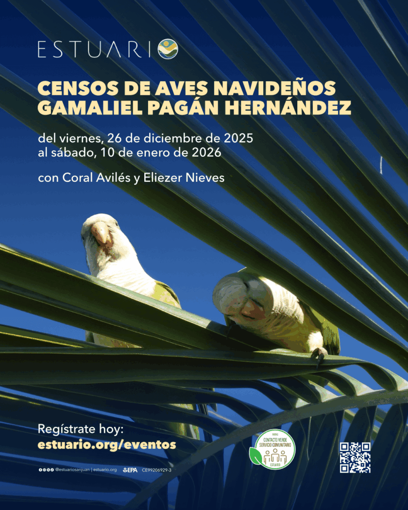 Weekly Update (December 26, 2025) - Estuario de la Bahía de San Juan